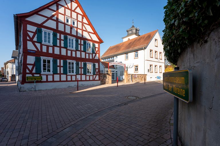 Home - English - Fossilien- und Heimatmuseum Messel