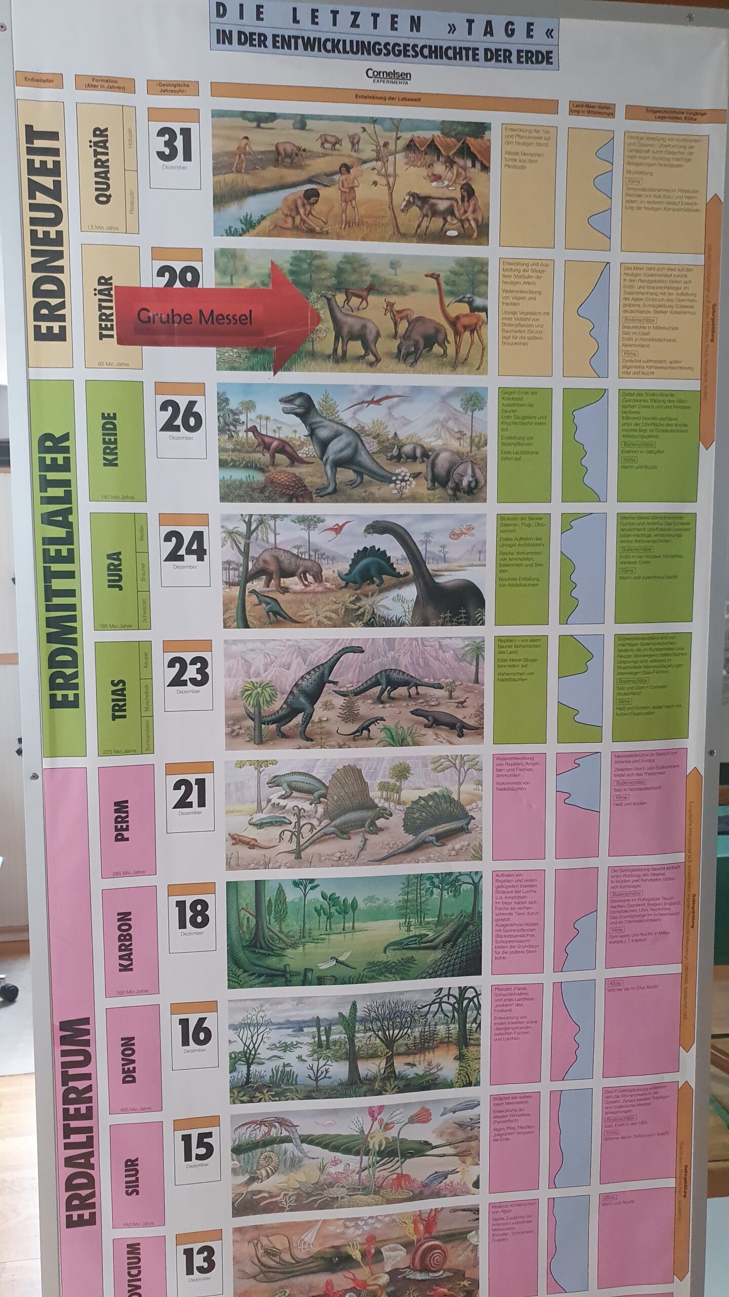 Home - Fossilien- und Heimatmuseum Messel